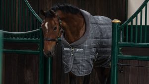 Best stable rugs for keeping your horse warm this winter | Horse & Hound