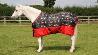 Best stable rugs for keeping your horse warm this winter | Horse & Hound