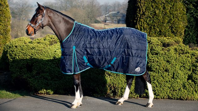 Best stable rugs for keeping your horse warm this winter | Horse & Hound