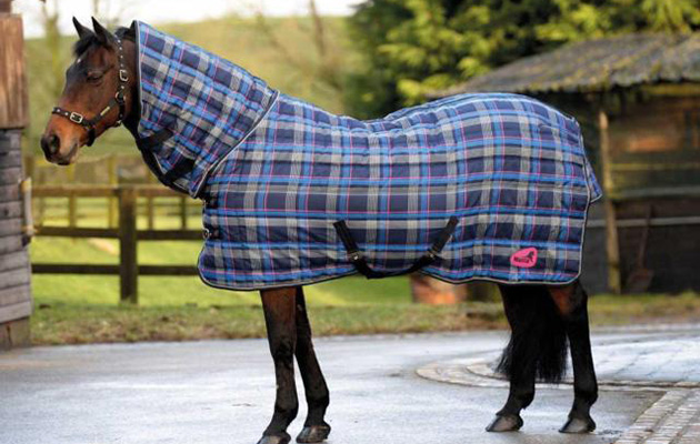 10 heavyweight stable rugs your horse will thank you for - Horse & Hound