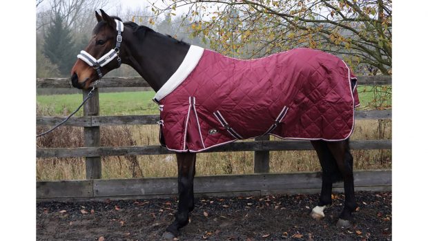 Best stable rugs for keeping your horse warm this winter | Horse & Hound