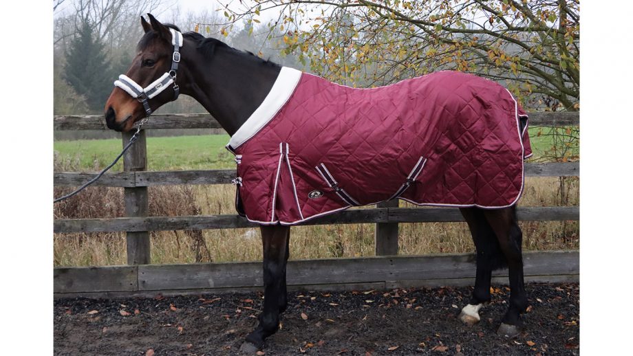Best stable rugs for keeping your horse warm this winter | Horse & Hound