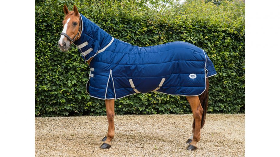 Best stable rugs for keeping your horse warm this winter | Horse & Hound