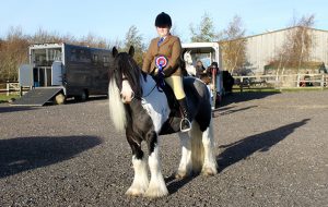 Redwings to build new centre to help rehome more horses - Horse & Hound