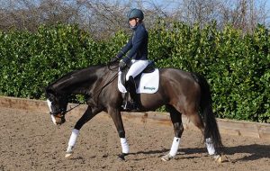 ‘The key that unlocks a horse’s potential’: how to master riding ‘long ...