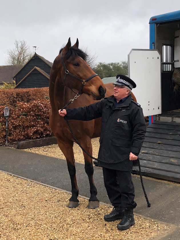 ‘One of the bravest of them all’: Police horse retires to join old ...