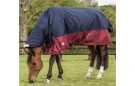 Best medium weight turnout rugs for chilly spring days - Horse & Hound