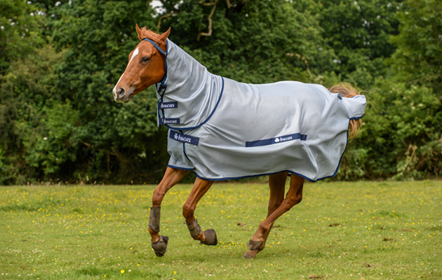 12 of the best fly rugs to protect your horse this summer | Horse & Hound
