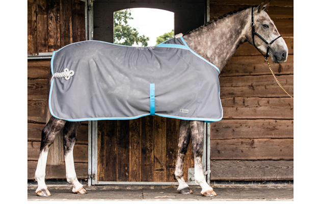 12 of the best fly rugs to protect your horse this summer | Horse & Hound