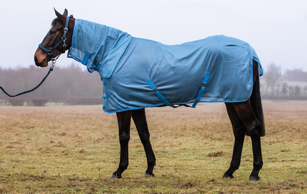 12 of the best fly rugs to protect your horse this summer | Horse & Hound