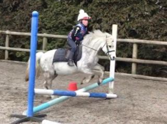 5 gorgeous lead-rein ponies that will melt your heart - Horse & Hound