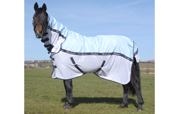 12 of the best fly rugs to protect your horse this summer | Horse & Hound