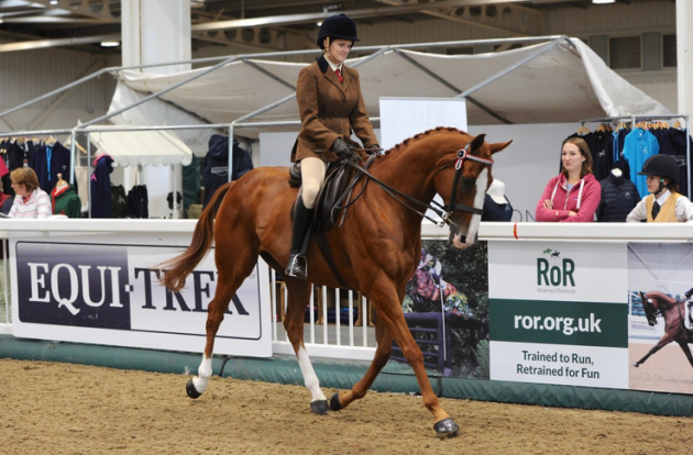Love ex-racehorses? Take a look at this bunch ready to be snapped up ...