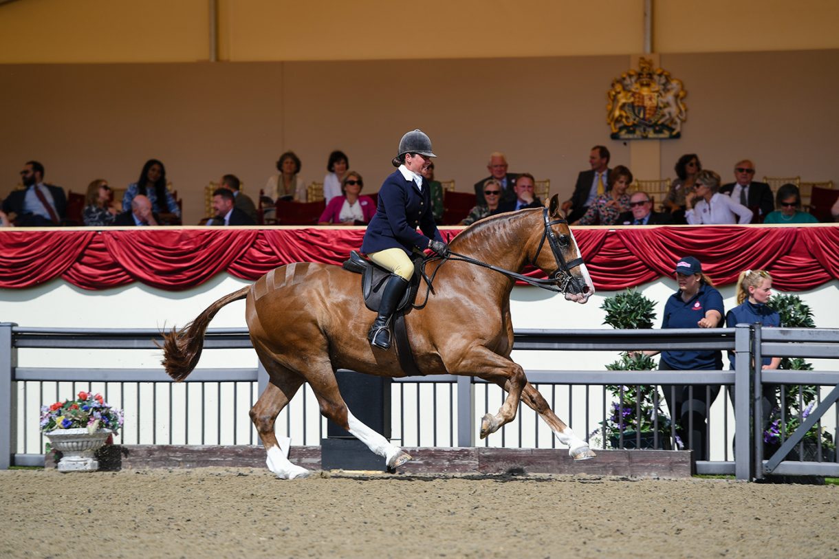 Michaela Bowling: Meet Royal Windsor judge - Horse & Hound