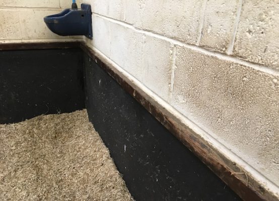 ‘They won’t stop horses getting cast’: vet’s warning over bedding banks ...