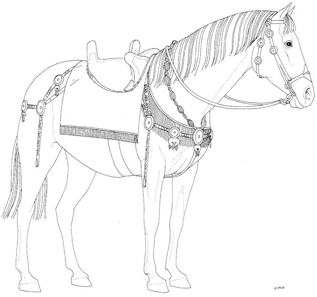 Ancient horse still wearing harness unearthed at Pompeii - Horse & Hound