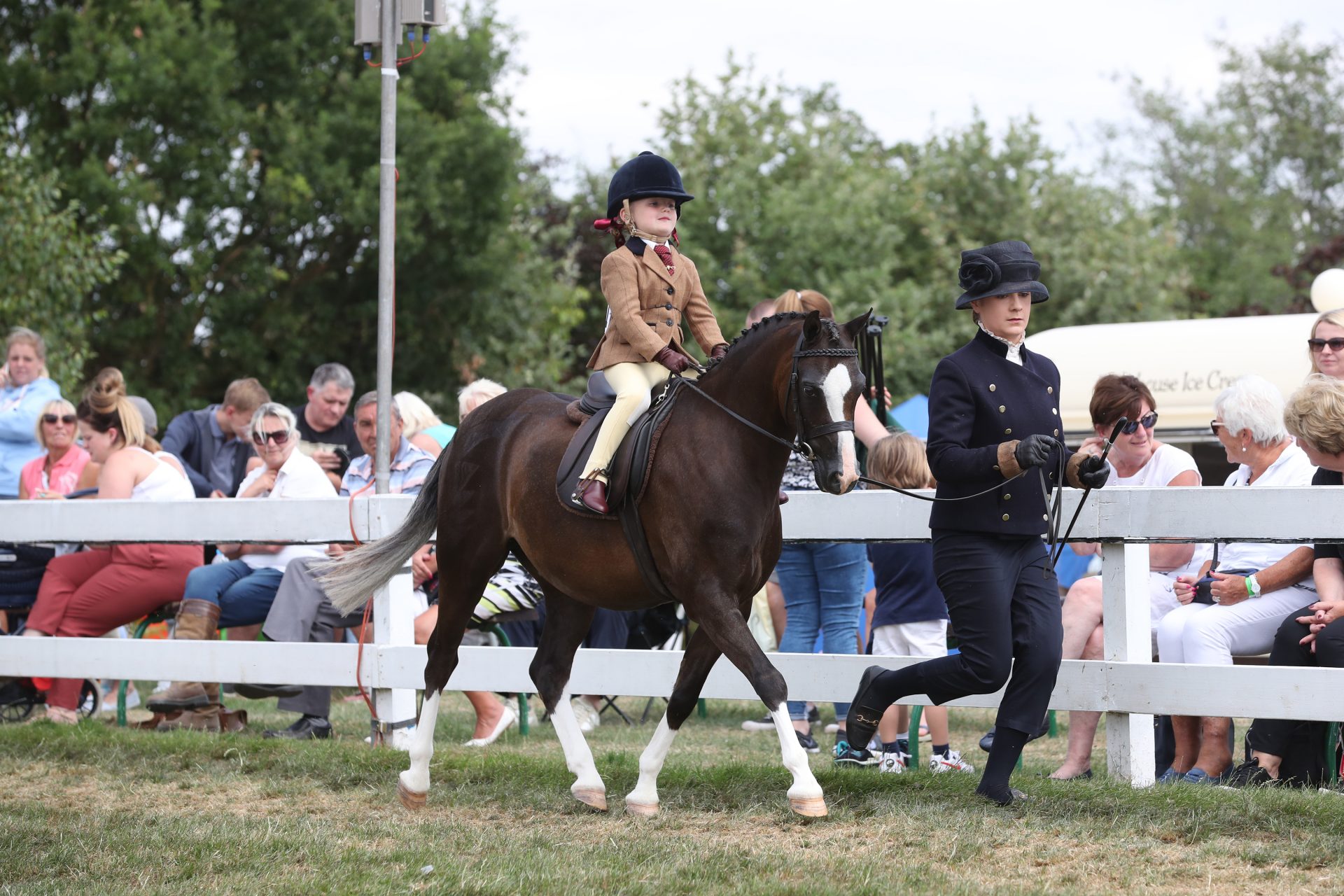 11 ponies to look out for this coming show season - Horse & Hound