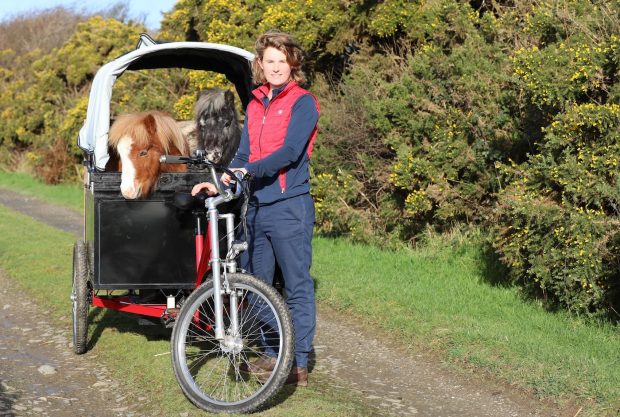 Ponies to cross Europe in human-drawn carriage - Horse & Hound