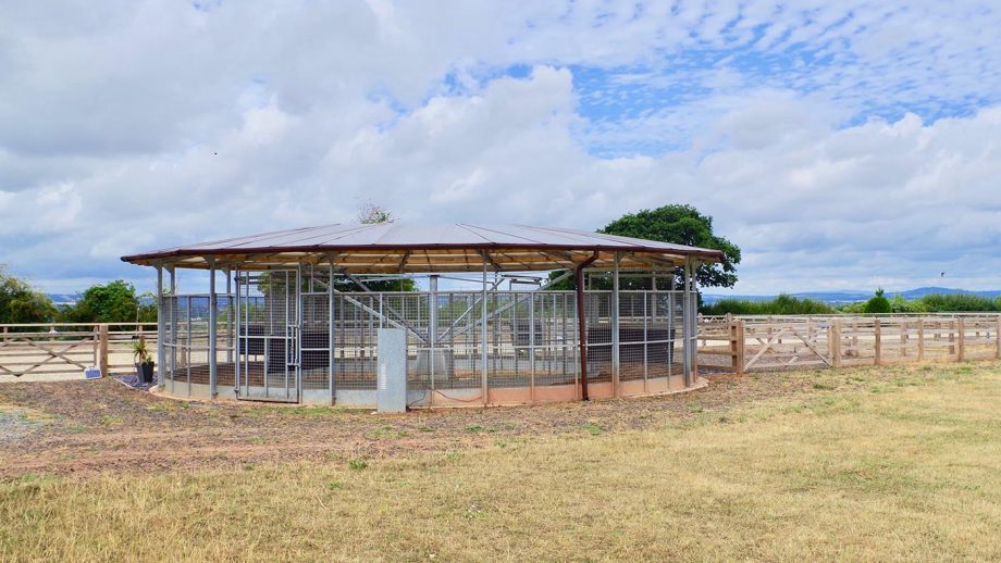 A modern equestrian home with four stables, all-weather school and ...