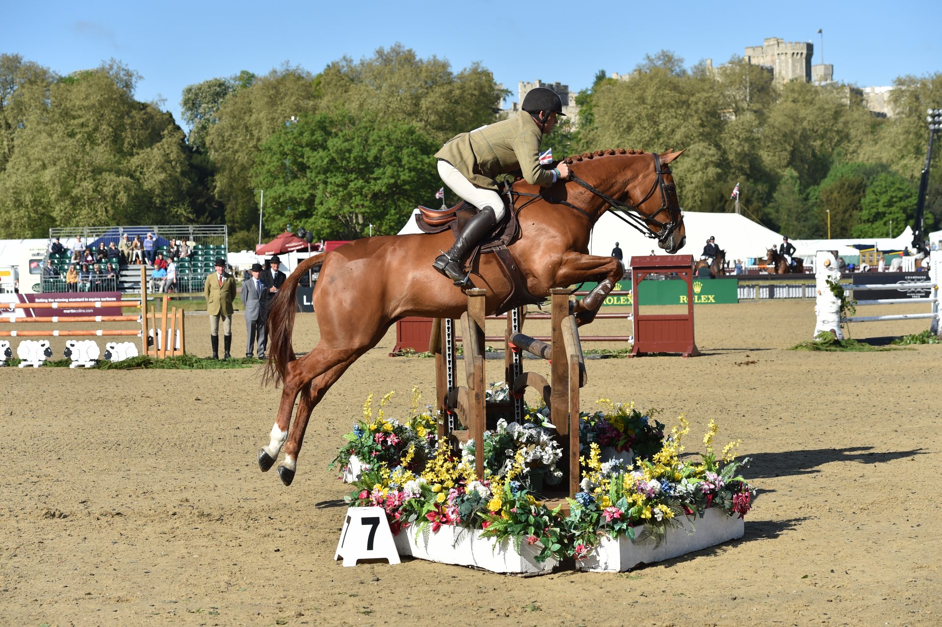 9 working hunters — large and small — we wanted a ride on last show ...
