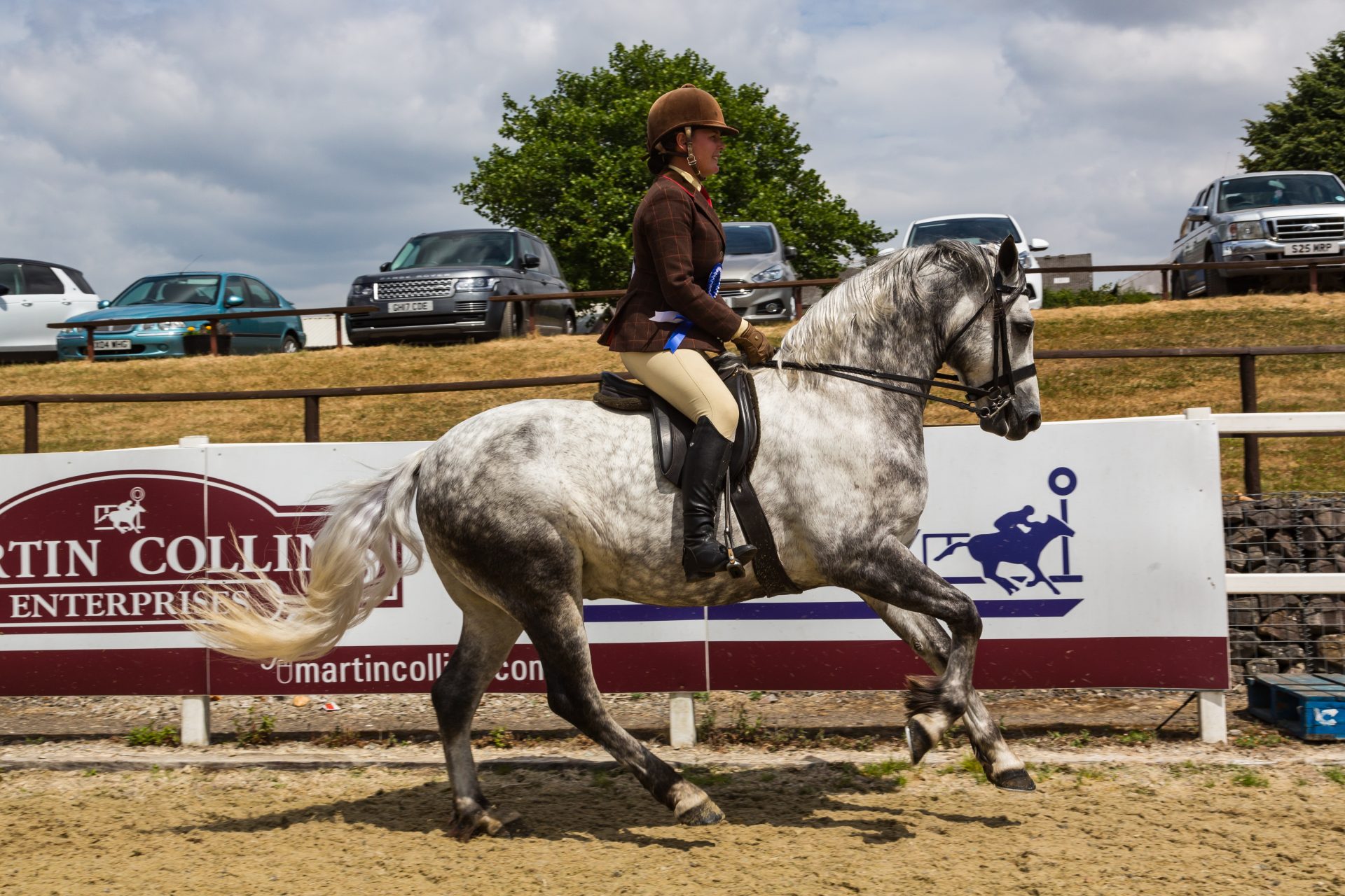 9 Connemara ponies we wanted to take home last show season - Horse & Hound