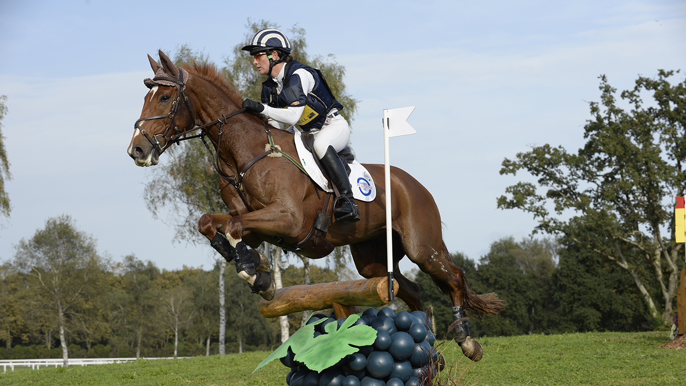 Final farewell to four-star event horse with a ‘heart of a lion ...