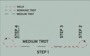 Medium trot: what is it, how to ride it, and how to improve | Horse & Hound
