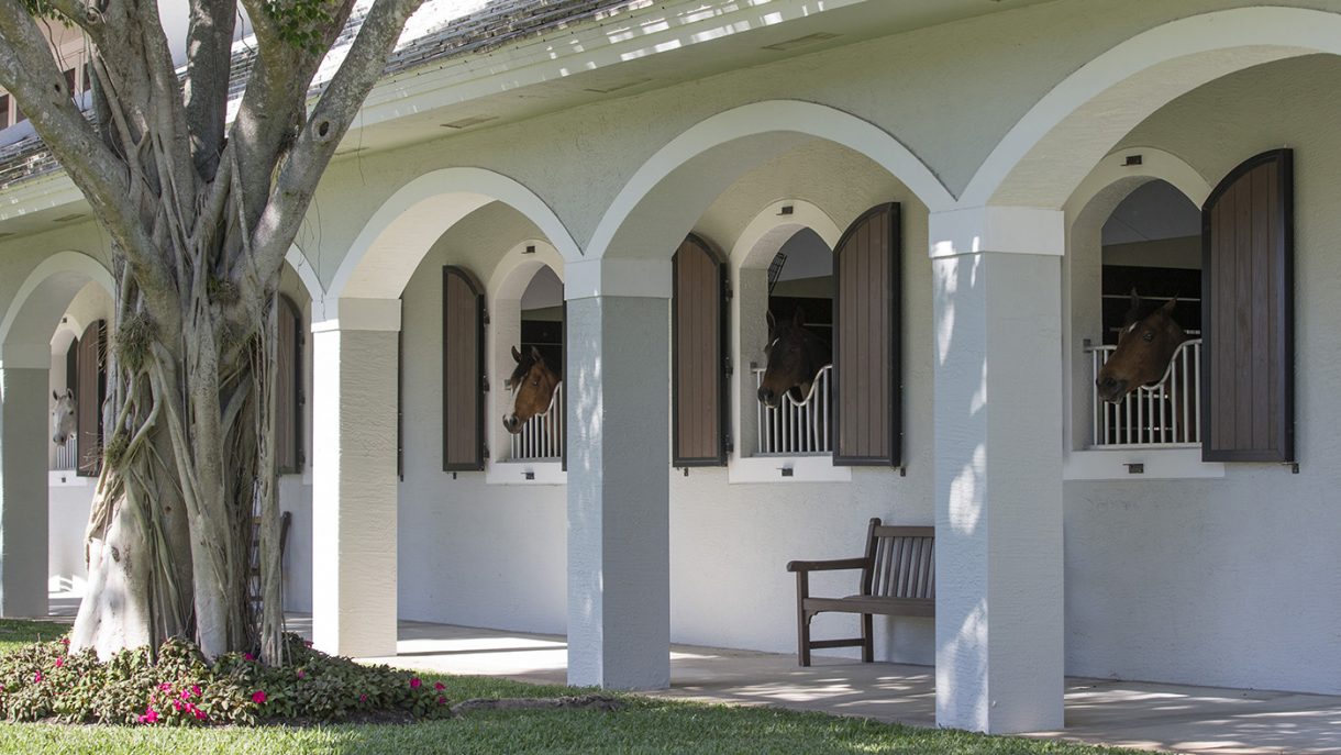 Yes, we admit we’re jealous — why we all want to move our horses into ...