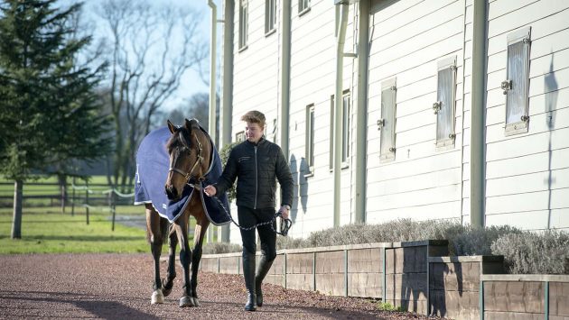 Take an exclusive peek round Harry Charles’ yard - Horse & Hound