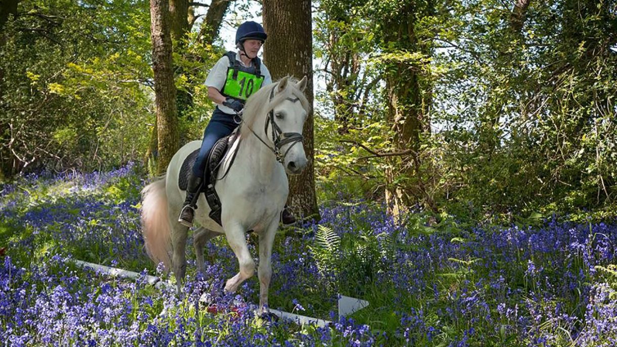 Try something new in 2019 — TREC - Horse & Hound