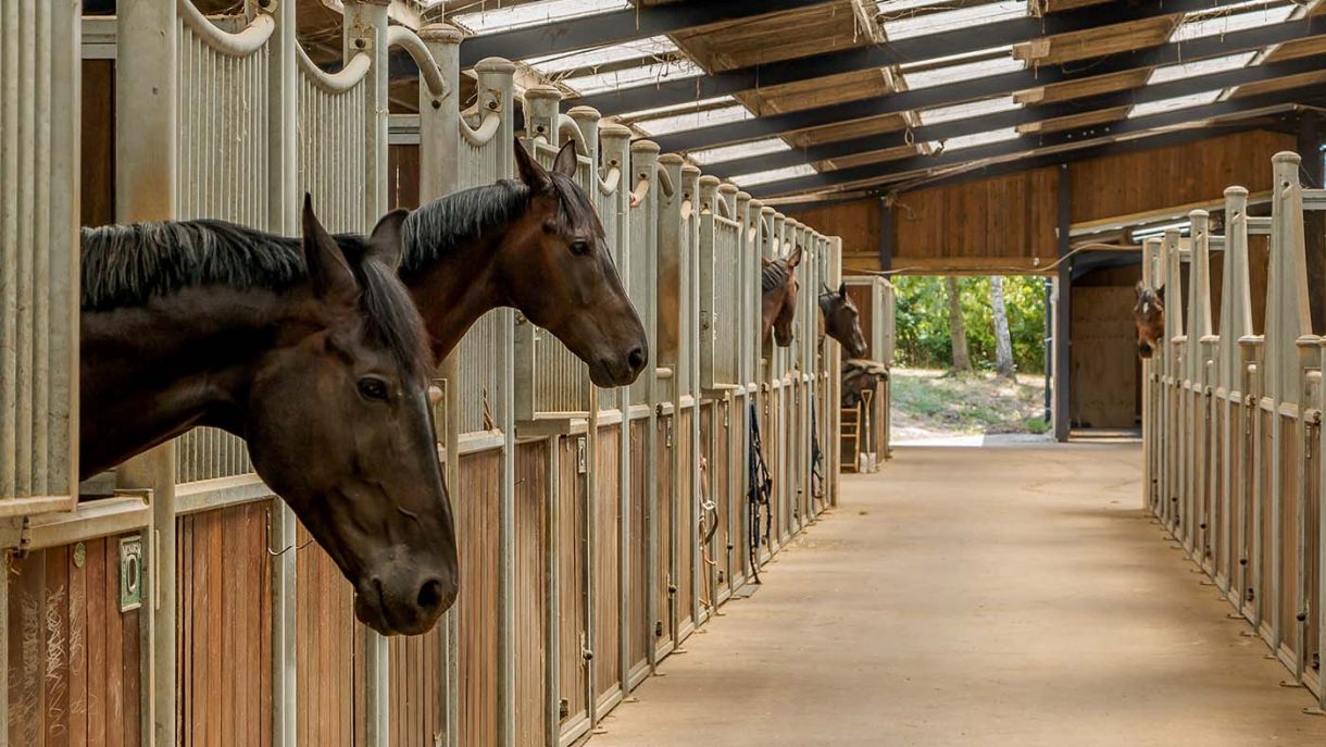 A country estate with Instagram-worthy views, an immaculate stable yard ...