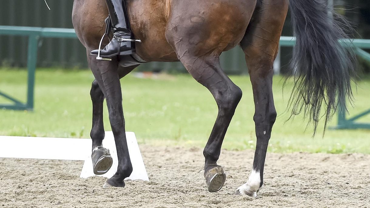Wireless communication systems to use in lessons | Horse & Hound