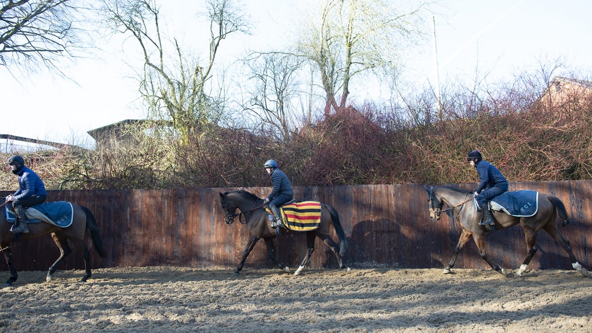 Check out this impressive 125-year-old racing yard (complete with its ...