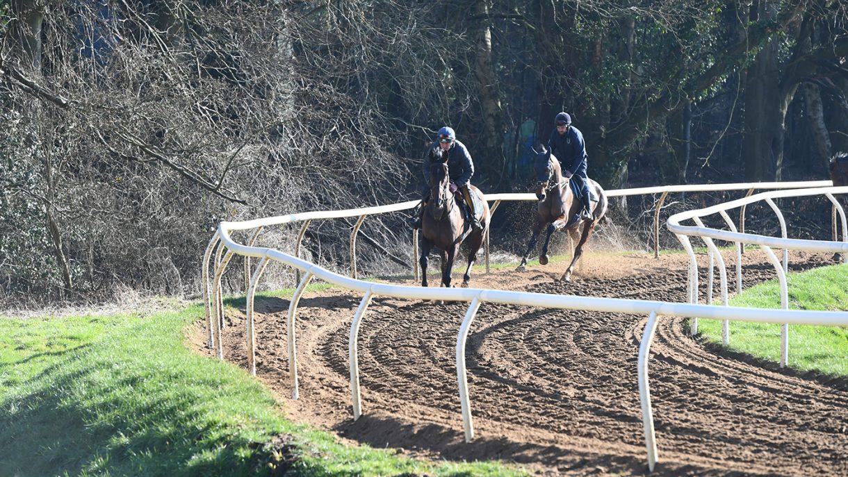 Check out this impressive 125-year-old racing yard (complete with its ...