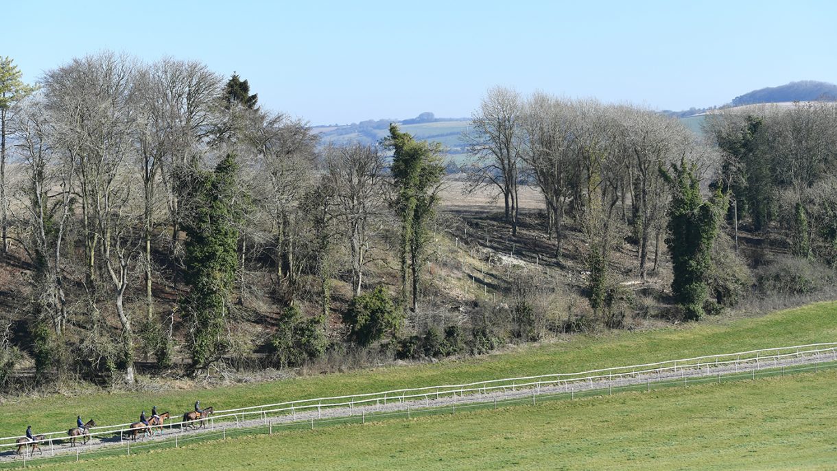 Check out this impressive 125-year-old racing yard (complete with its ...