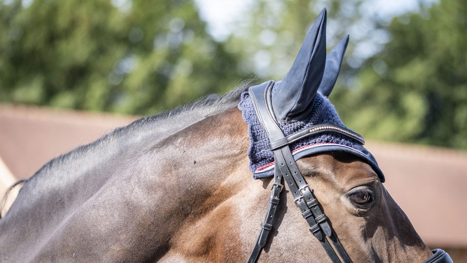 Best ear bonnets: Horse & Hounds’s tester ranks her favourites