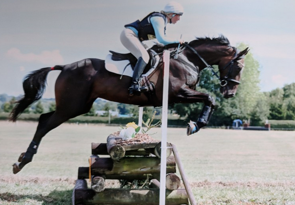 Love ex-racehorses? Take a look at this bunch ready to be snapped up ...