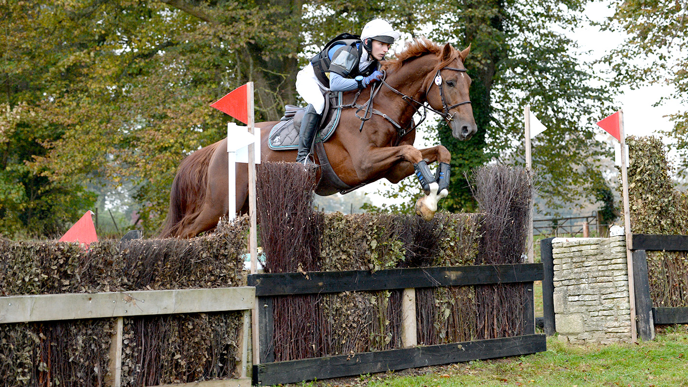 12 stallions standing in Britain that breeders need on their radar ...