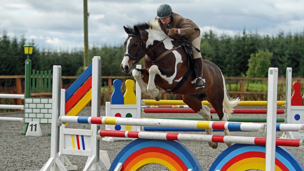 Driving pony turned showjumper ‘still winning’ aged 22 retires - Horse ...
