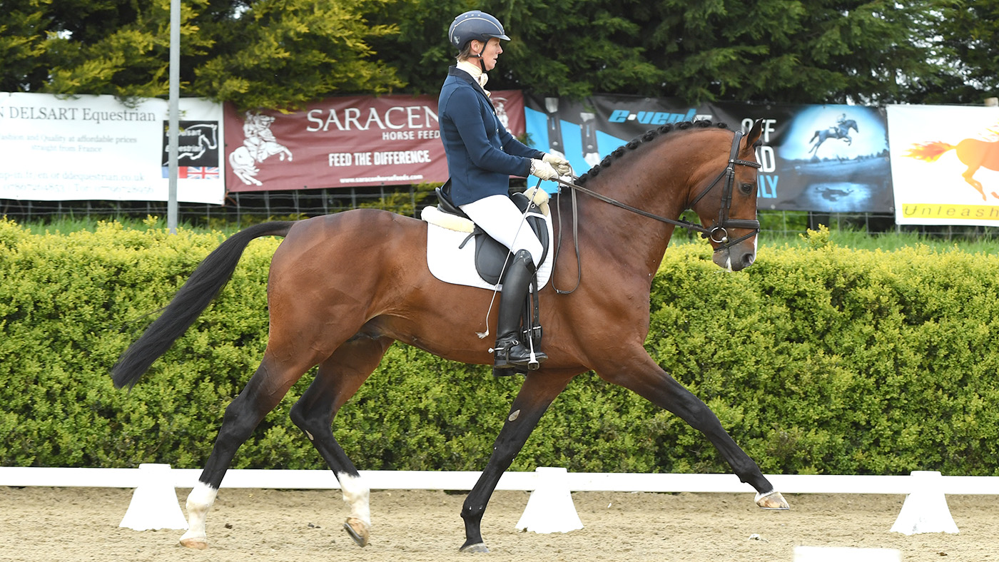 Stallions in Britain that breeders need on their radar in 2022