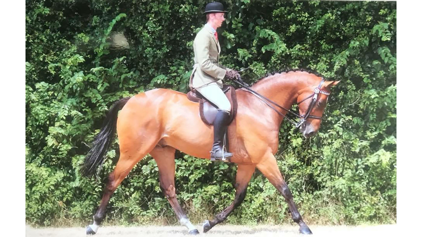 *NEW* Dan Williams’ showing blog: let’s stop making buying and selling ...