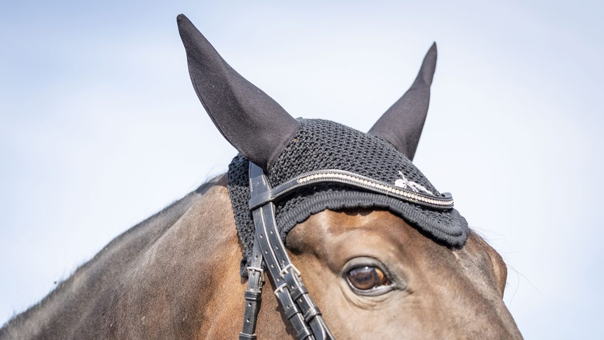 Best ear bonnets: Horse & Hounds’s tester ranks her favourites