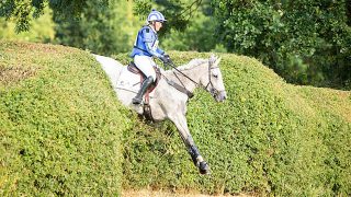 How to teach a horse to jump a hedge with Horse & Hound