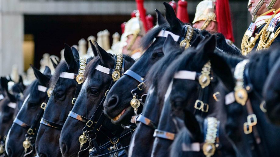 9 stunning shots of The Queen’s mounted bodyguard making their final ...