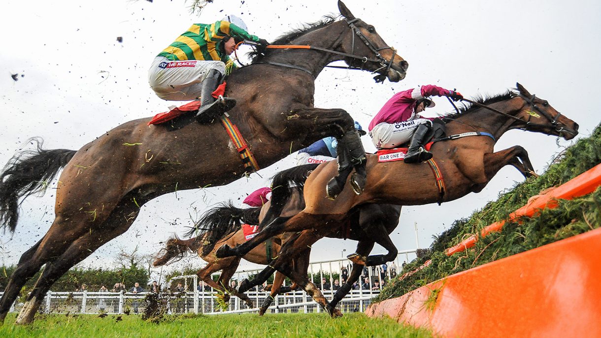 Naming a racehorse: how does it work? Here’s your full guide...