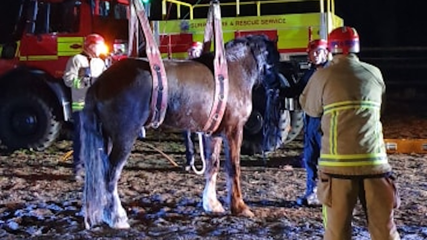 Owner praises ‘incredible’ fire service for trying to save her horse ...