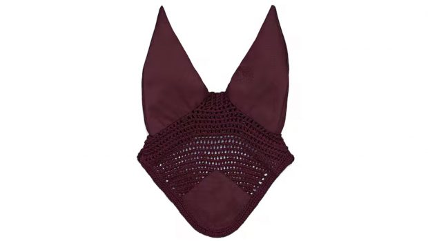 Best ear bonnets for horses – soundproof and smart | Horse & Hound