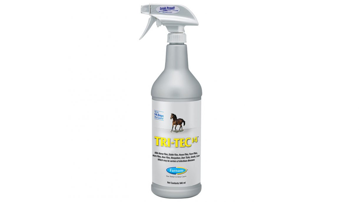 Best fly sprays for horses and their premises | Horse & Hound