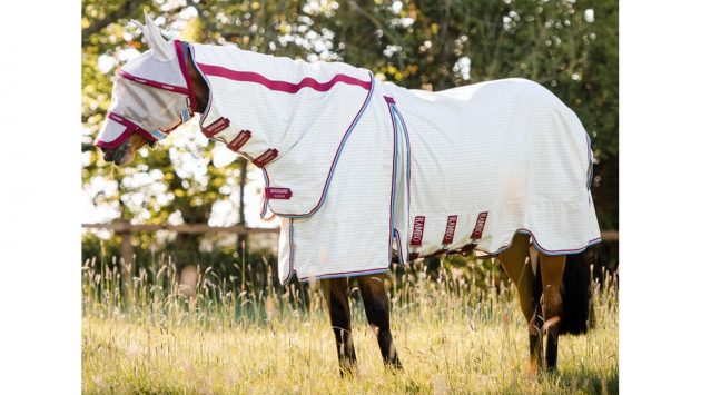 Best summer sheets for horses for UV protection | Horse & Hound