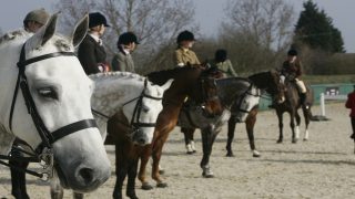 What to wear for showing classes: every class explained | Horse & Hound